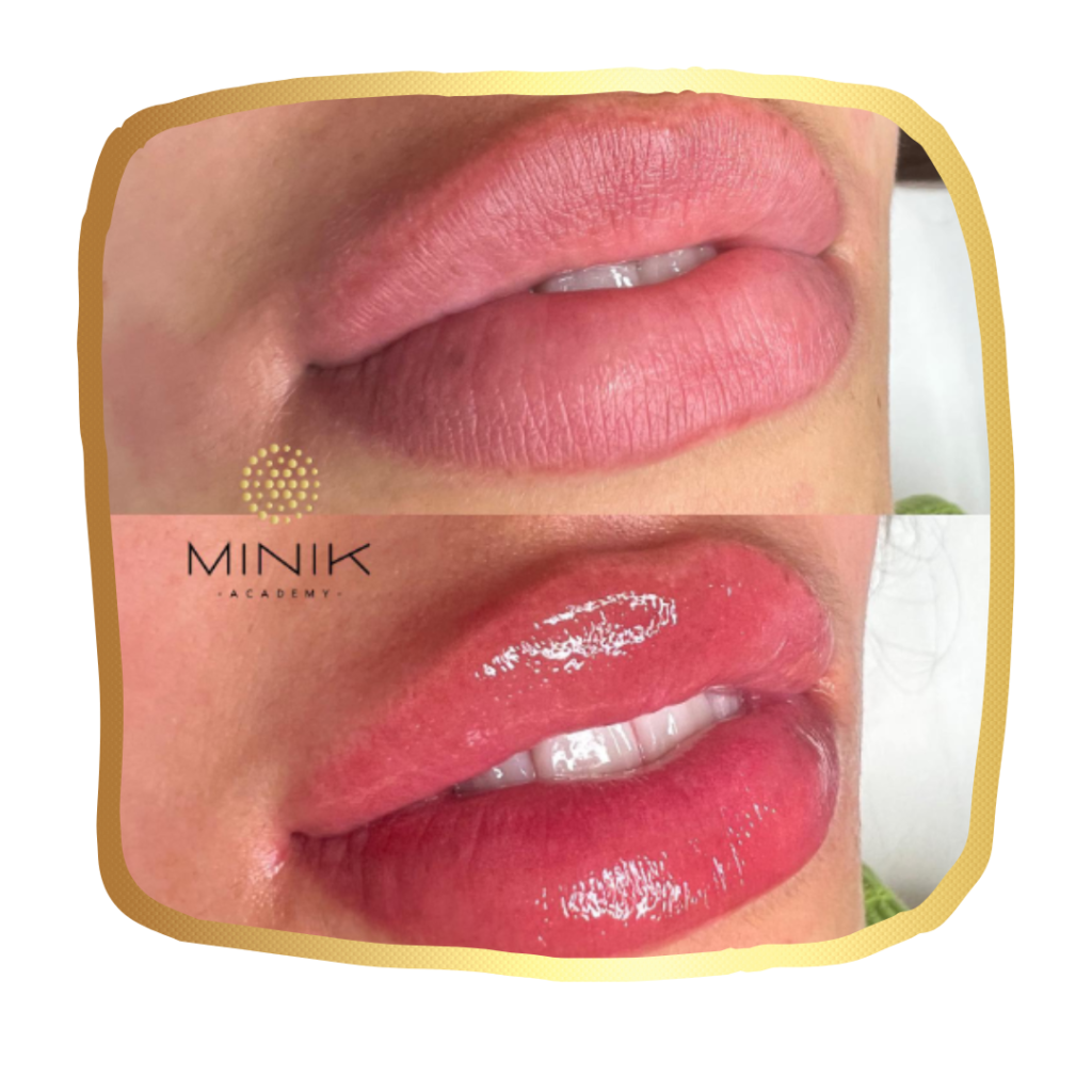 Minik Lovely Lips Training (Lip Micropigmentation) | Minik Academy